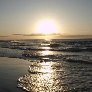 Cuando el sol se levanta - Revista Esfinge