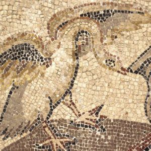 Historia de Júpiter y Leda - Revista Esfinge